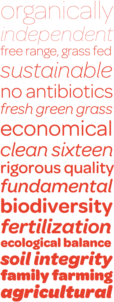 The Typekit Blog | Omnes Pro, Darden Studio join Typekit