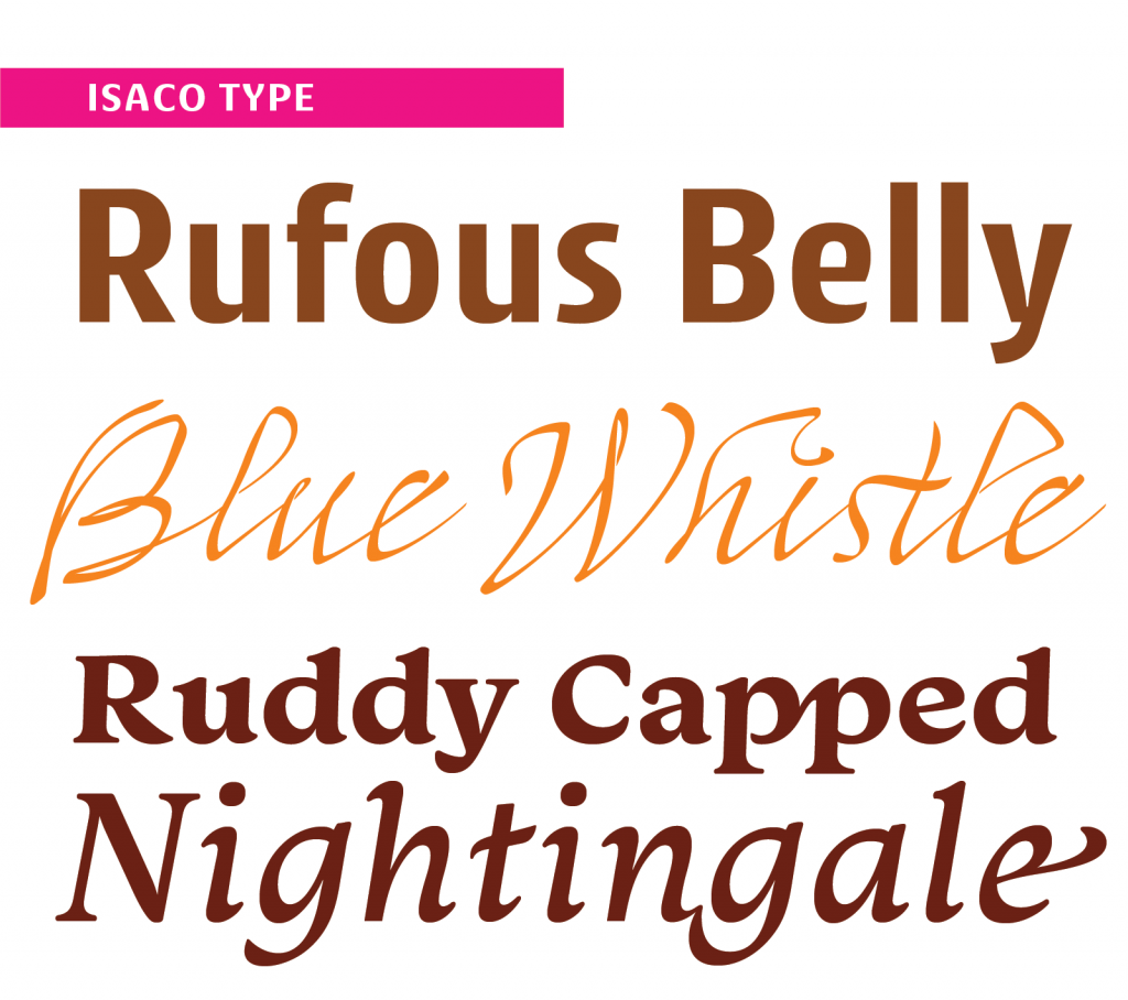 The Typekit Blog | Web fonts from WebINK are coming to Typekit